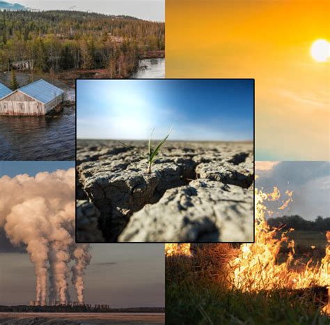 Iso Net Zero Smart Certification