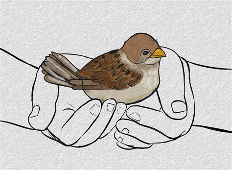 Download Hands Holding Garden Royalty Free Stock Illustration Image