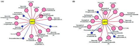 Visualization Of The Correlation Networks Between The Identified