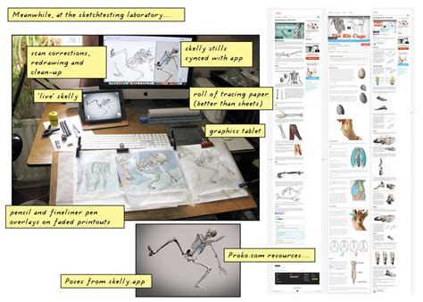 Proko Challenge Cartoon Anatomy Sketchtesting