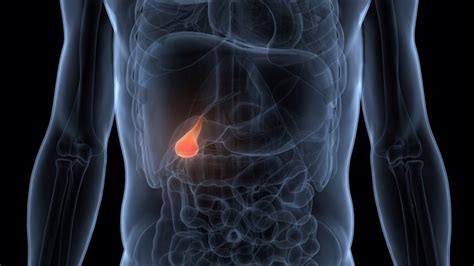 Descubren una nueva terapia molecular dirigida para el cáncer de vías biliares resistente a los
