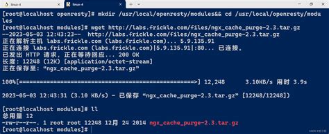 Openresty Csdn