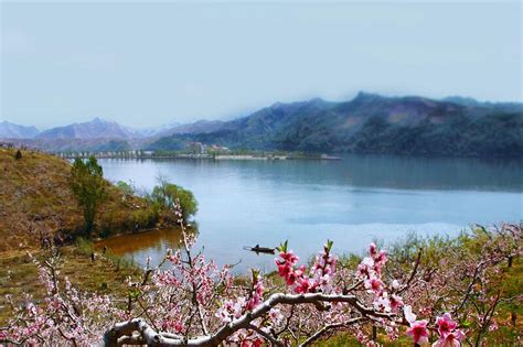 【辽东游记】丹东 河口景区——《在那桃花盛开的地方》 知乎