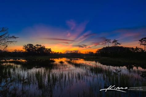 Sunrise Cypress Creek Natural Area Jupiter Farms Hdr Photography By