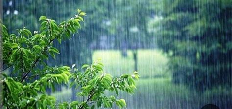 ببینید تصاویری از باران شدید در زاهدان همراه با رعد و برق خبرآنلاین