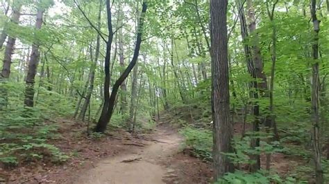 무료영상소스숲속길 산책자연 Youtube