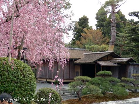 清流亭の桜 絶景かなドットコム京都