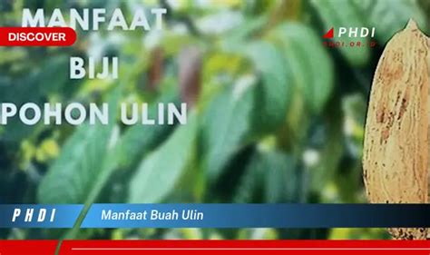 Temukan 7 Manfaat Buah Ulin Yang Wajib Kamu Intip