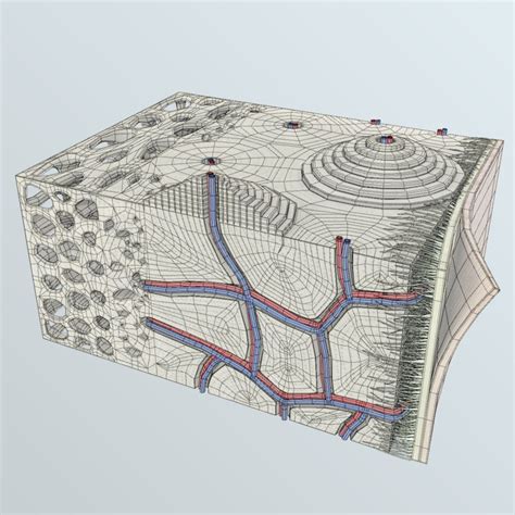 Realistic Human Bone Cross Section 3d Model 79 Fbx Max Ma Obj