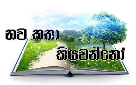 නවල් පිස්සෝ ලියා අවසන් නවකතා Facebook