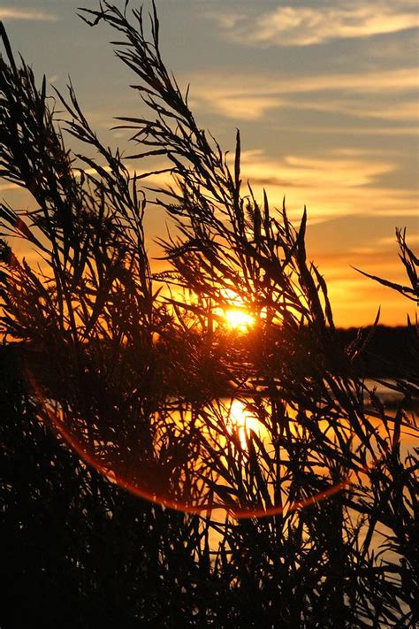Sunset Flare Photograph By Bronwyn Pound Fine Art America