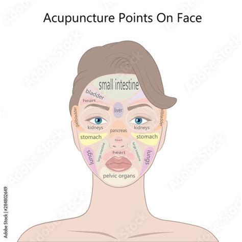 Active Acupuncture Points On The Face Illustration Isolated On White