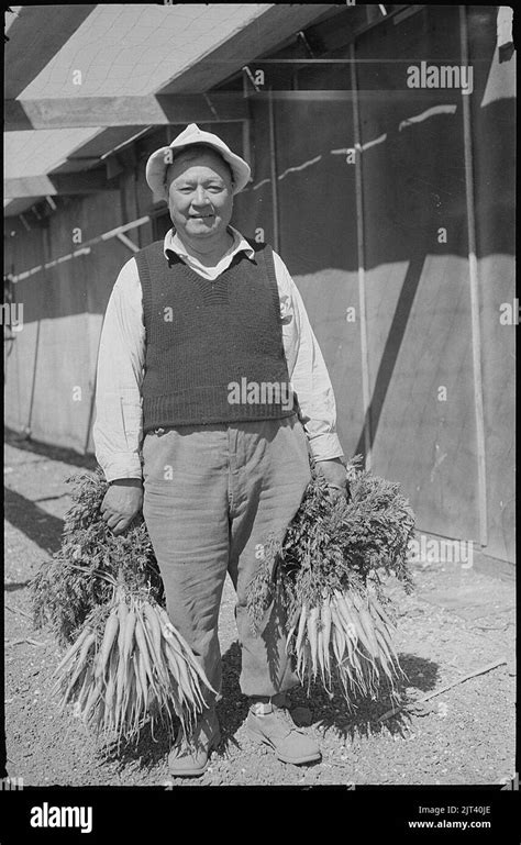 Tule Lake Relocation Center Newell California Project Farmer With