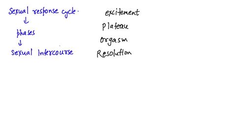 SOLVED Compare And Contrast The Events Of The Four Phases Of Sexual Intercourse In Males And In