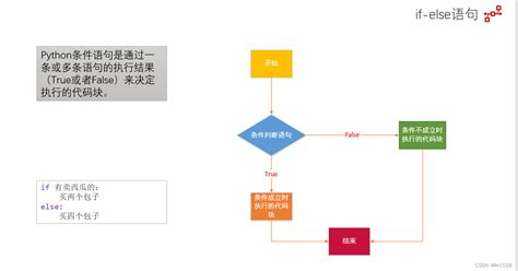 python 判断语句与循环控制 csdn博客