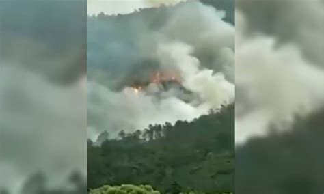 Plane Crashes With 133 People On Board In Chinaâ€™s Guangxi State Media