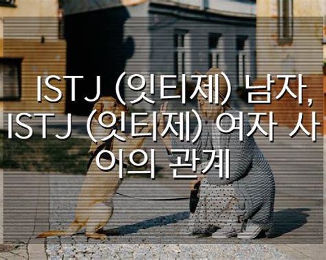 Istj 잇티제 남자 Istj 잇티제 여자 사이의 관계