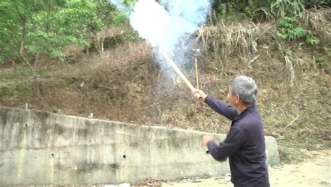 猴群山豬搶先採收作物 苗縣加碼補助每戶100發驅猴炮
