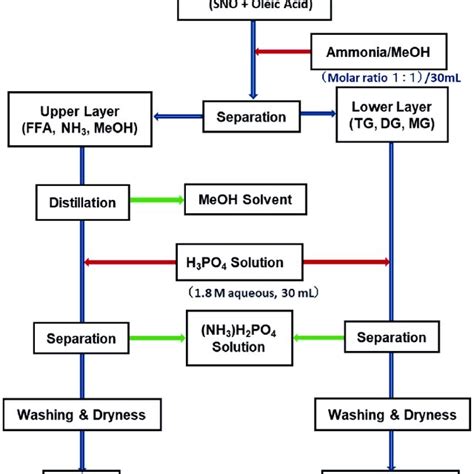 Schematic Of The Procedure For Separation And Purification Note Each Download Scientific