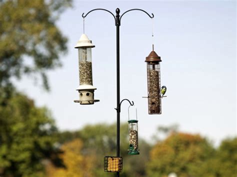 Two Way Bird Feeder Station