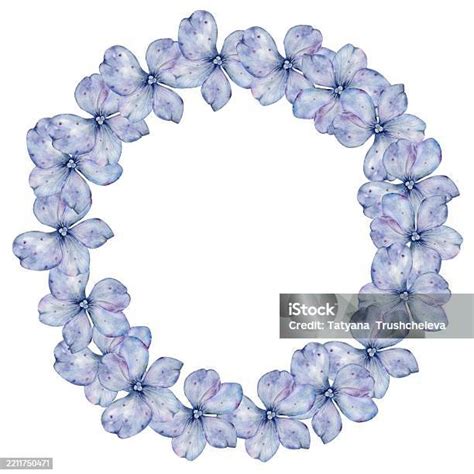 블루 수국 꽃 수채화 프레임입니다 고립 된 흰색 배경에 손으로 그린 섬세한 꽃 식물 삽화 결혼식 및 생일 카드에 이상적 개화기에 대한 스톡 벡터 아트 및 기타 이미지