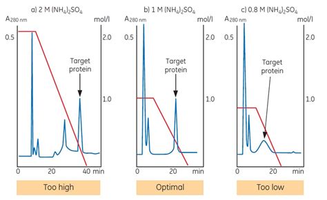 Salt Selection And Buffer Preparation
