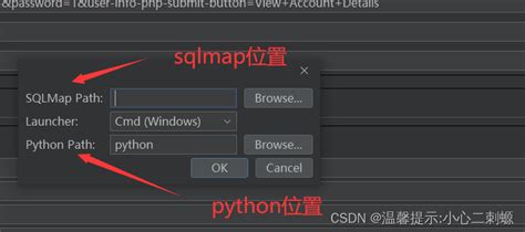 Burp Suite Co2 使用方法完整渗透过程burpsuite Co2 Csdn博客