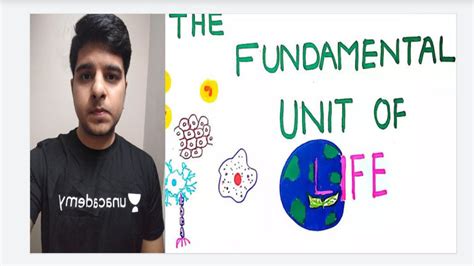 Cbse Class 9 Golgi Apparatus And Endoplasmic Reticulum In Hindi Offered By Unacademy