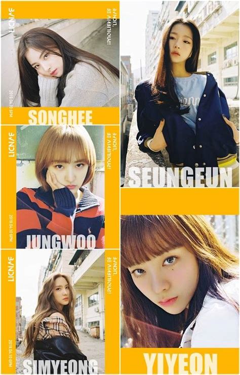 Tf포커스 밴디트 청하 후광 업고 가요계 홀릴까 연예 기사 더팩트