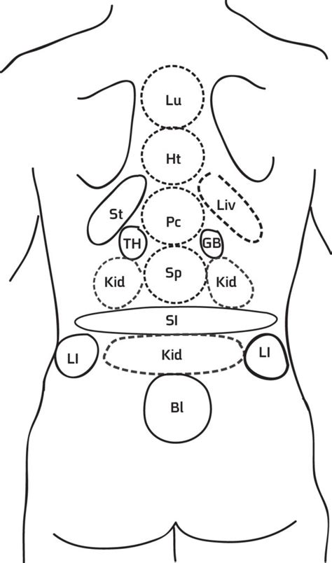 Shizuto Masunaga His Way Of Diagnosing Part3 Ryoho Shiatsu In
