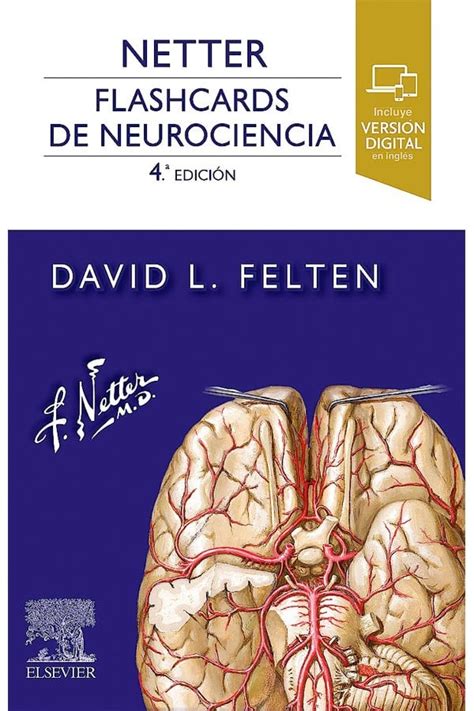 Ripley Libro Netter Flashcards De Neurociencia 4ed Netter Felten