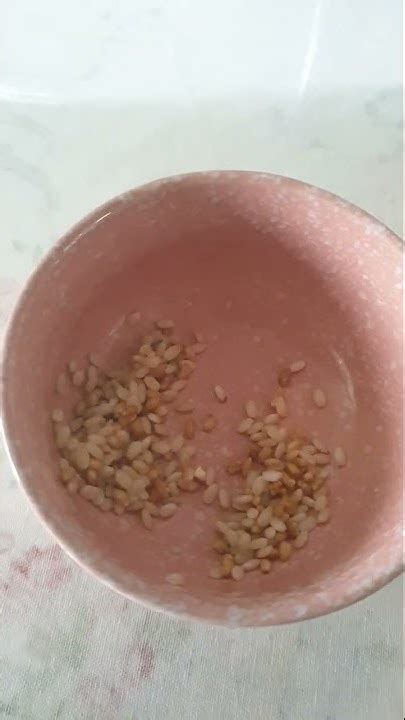 다섯 불린 현미생쌀 맛있게 먹는 방법 현미 생으로 쉽게 먹는 법 건강한 식사 장청소 음식 변비에 좋은 식사 아토피에 도움이