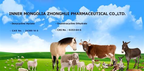 Doxycycline Hyclate Gmp Manufacture Inner Mongolia Zhonghui