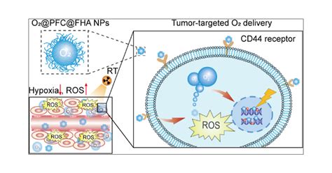 Fluorinated Hyaluronic Acid Encapsulated Perfluorocarbon Nanoparticles As Tumor Targeted Oxygen