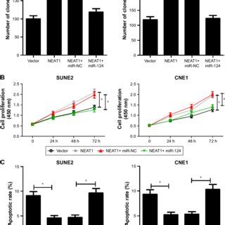 NeaT1 Knockdown Inhibited Proliferation And Enhanced Apoptosis In NPc