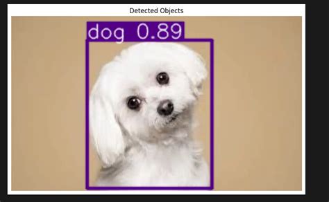 Rt Detr The Next Evolution In Real Time Object Detection By Nandini Lokesh Reddy Medium