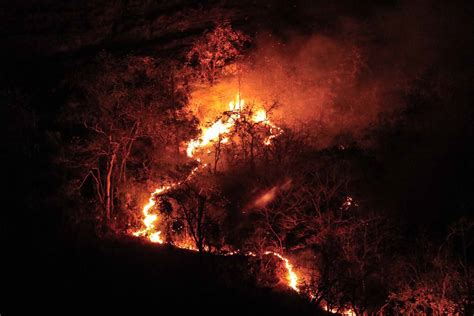 Dvb ဇွဲကပင်တောင် အငူတွင် တောမီးလောင်ကျွမ်းနေ ဓာတ်ပုံ