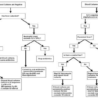 A Algorithm For The Initial Management Of Febrile Neutropenia Download Scientific Diagram