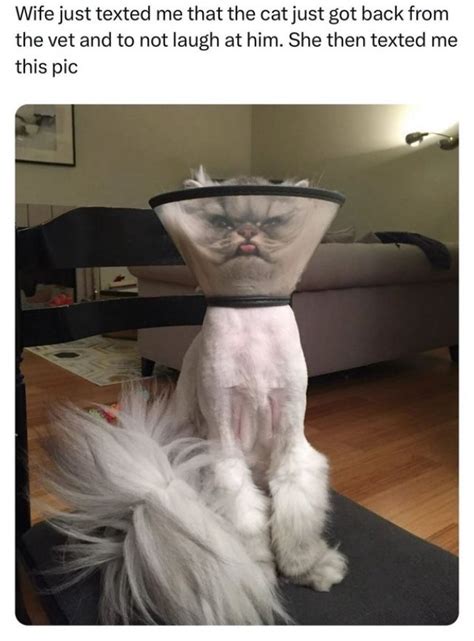 The Expression Album On Imgur