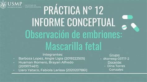 Informe Sobre La Observación De Embriones Mascarilla Fetal Pptx