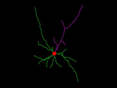 detailed cell information m196 section2 image1 hetneuron2 trace
