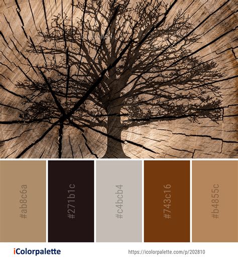 Brown And Tan Tree Color Palette