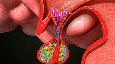 为什么年纪一大，癌症就跟着来？研究：养成几个好习惯，远离癌症