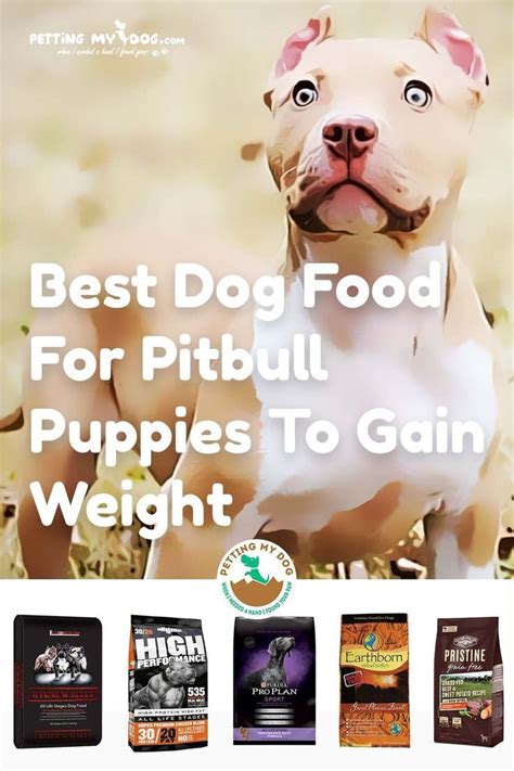 What Kind Of Food Is Good For Pitbull Puppies