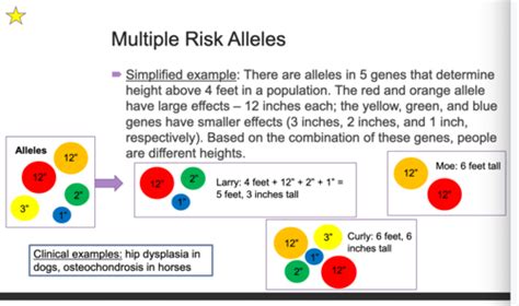 Genetics ComplexTraits Flashcards Quizlet