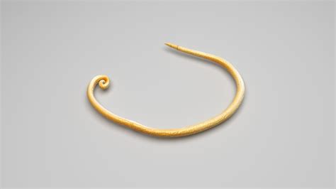 Whipworm 3d Model Cgtrader