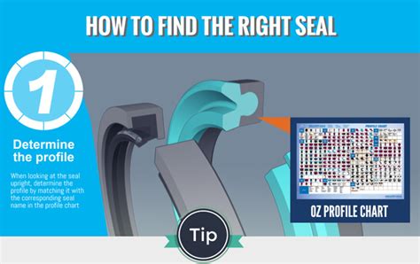 Infographic How To Find The Right Seal Type