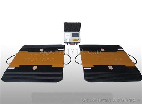 批发上海便携式称重仪轴重称重设备居全国先地领位 电子衡器 维库仪器仪表网