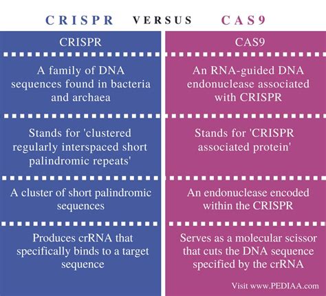 Difference Between Crispr And Cas9 Pediaa Com