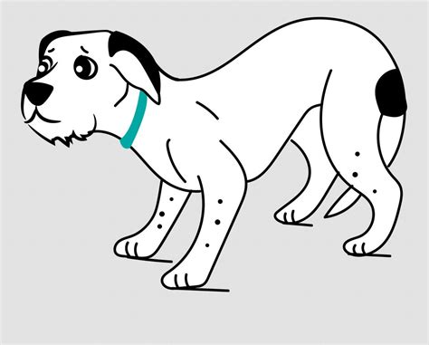 A Guide To Understanding Your Dogs Body Language Pets Hyme